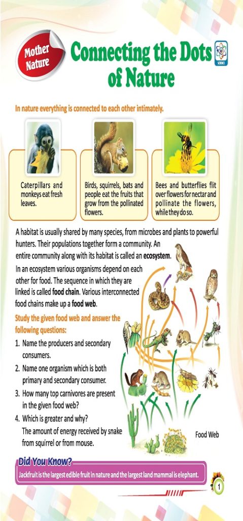 Class 8-Learning and Knowing with NEP Guidelines - MTG Learning Media