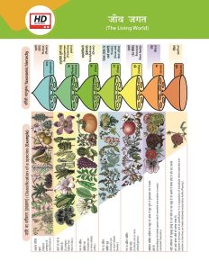 Objective NCERT at your FINGERTIPS Biology in Hindi Medium (Based on ...