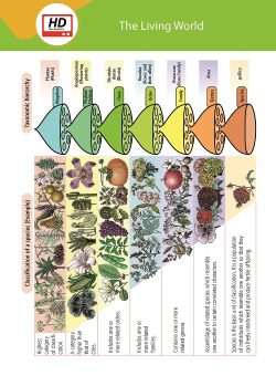 Objective NCERT at your FINGERTIPS Biology – NEET Books (Based on NCERT ...
