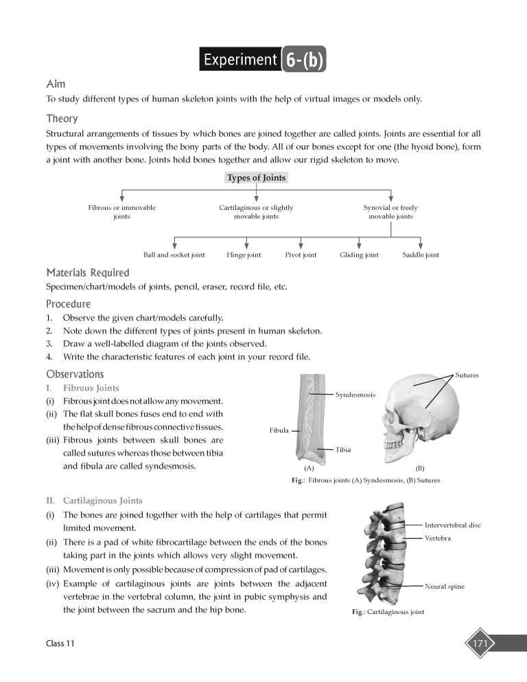 MTG Lab Manual Class 11 Biology Book | Based on CBSE Syllabus | Lab ...