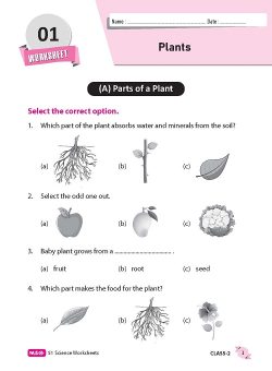 Class 2 – 51 Science Worksheets - MTG Learning Media