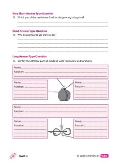 Class 5 – 51 Science Worksheets - MTG Learning Media