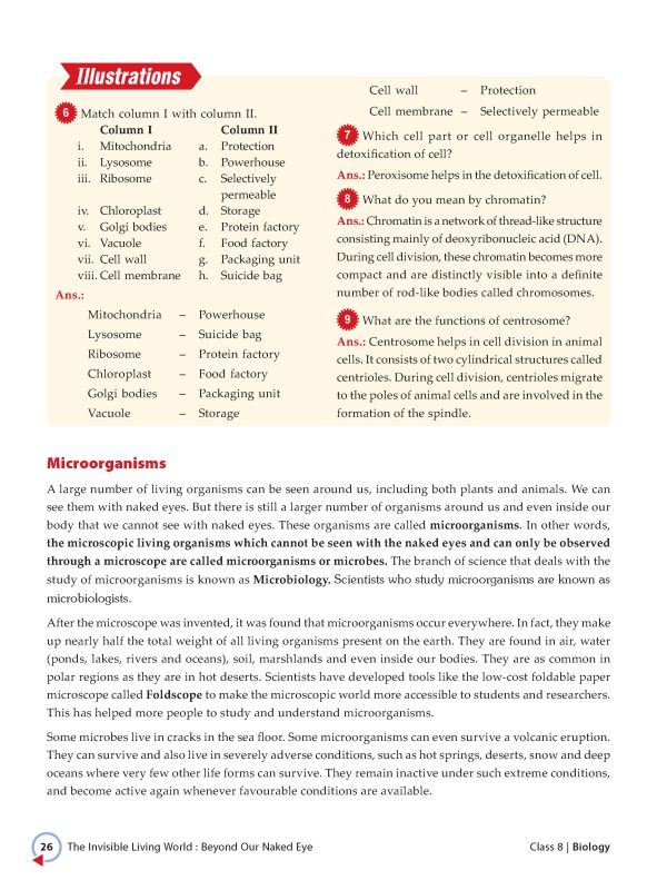 Foundation Course Class 8 Biology For NEET, IIT-JEE, CUET and Boards ...